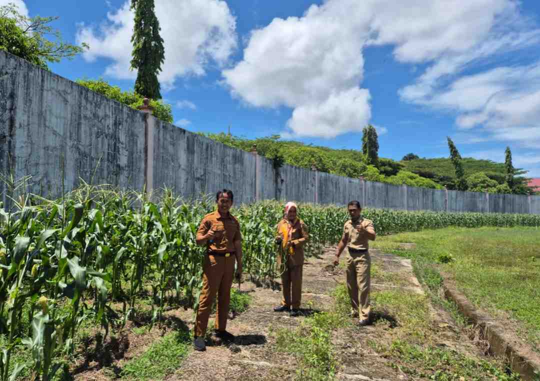 Kadispora Bone Manfaatkan Lahan Stadion La Patau Jadi Kebun - NalarMedia.id